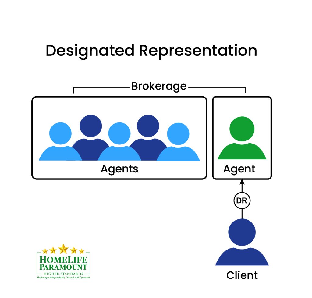 A Comprehensive Guide to Designated Representation Under Designated Representation - HomeLife ...